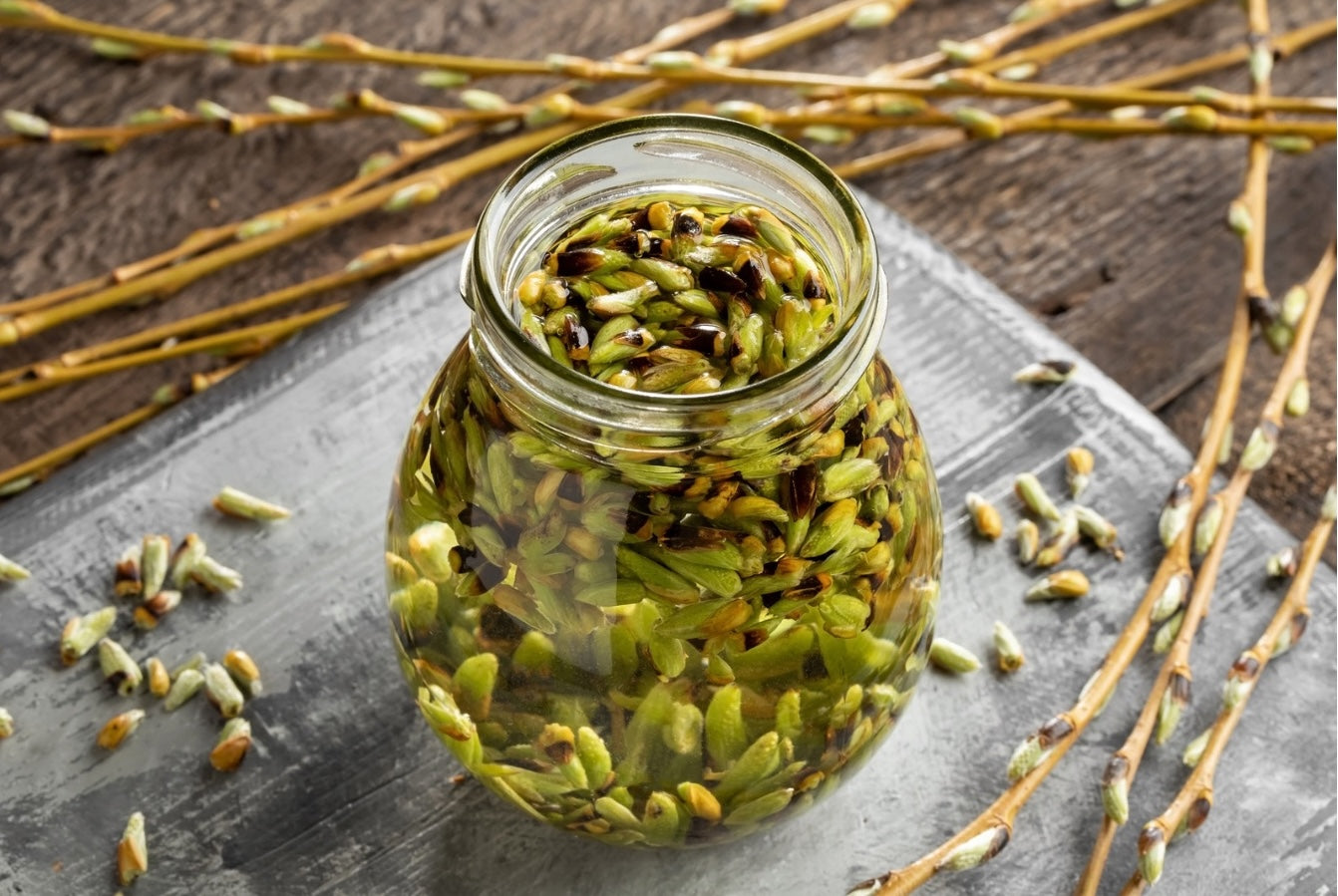 Gemmotherapy Supplements | Natural Remedies | Coal Harbour Pharmacy ...