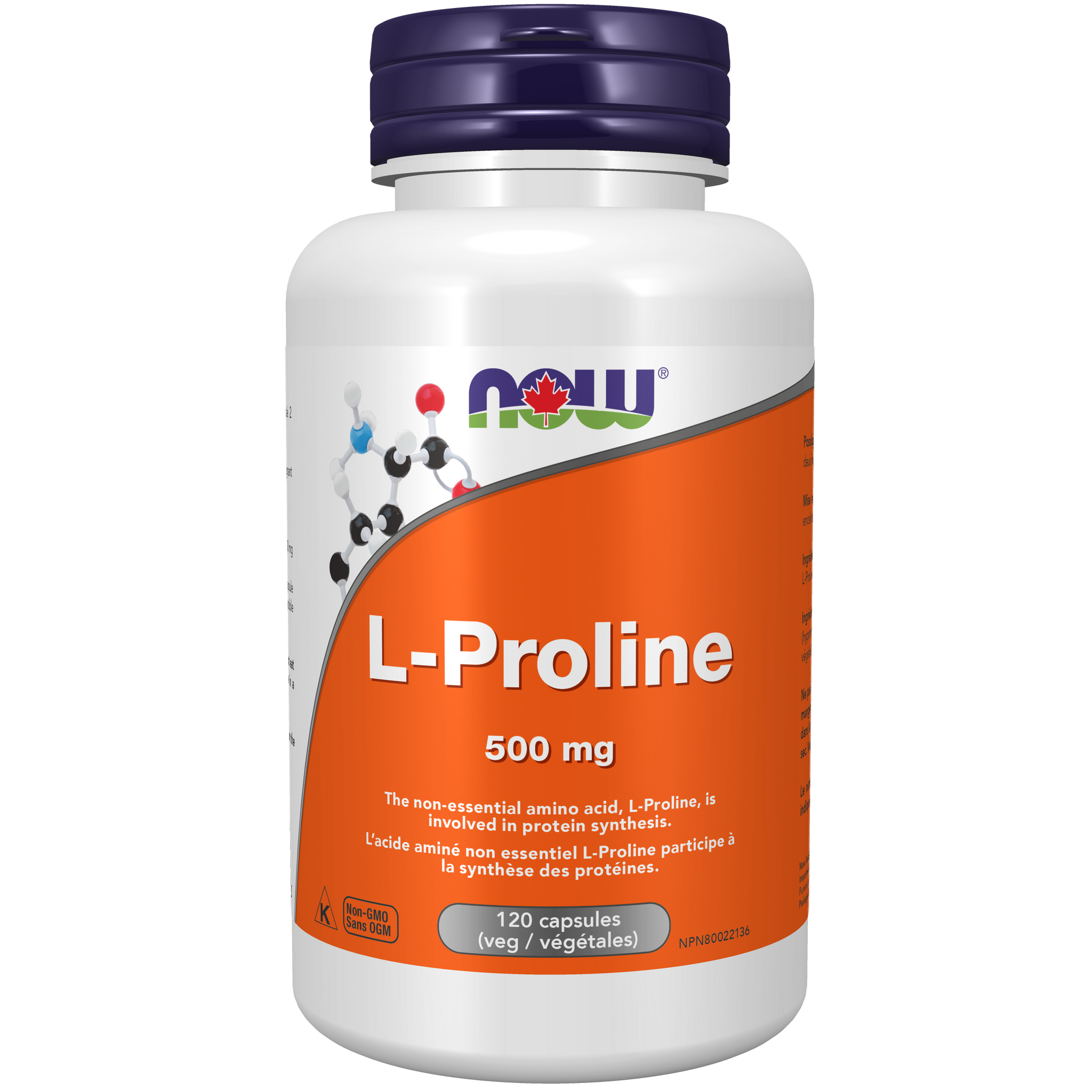 L-Proline 500 mg by NOW | Collagen & Joint Support | Coal Harbour ...